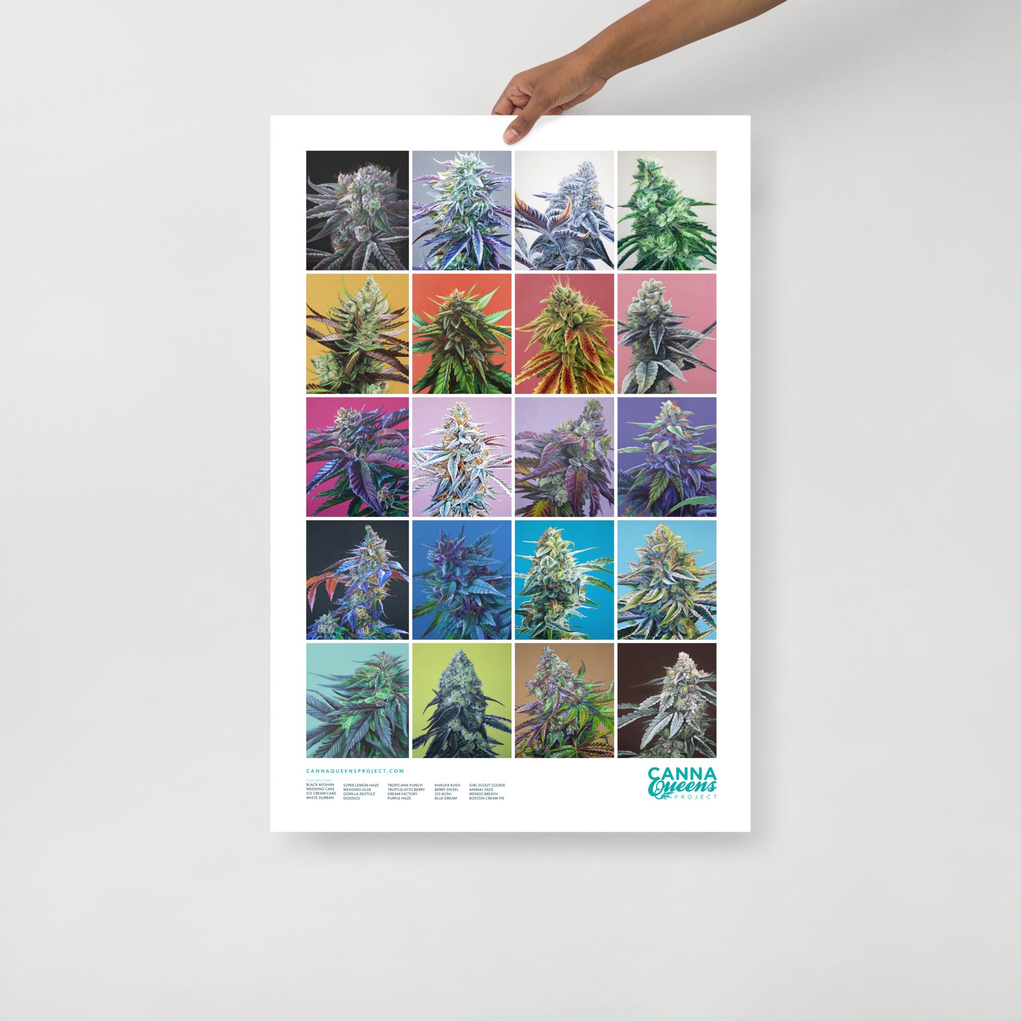 20 Strains Cannabis Poster – Canna Queens Project